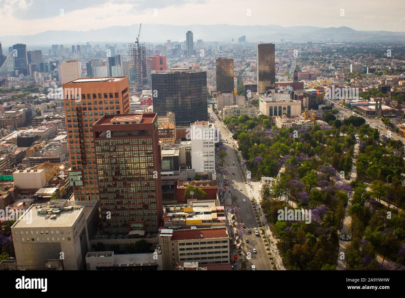 Aerial view of mexico city alameda Stock Photo - Alamy