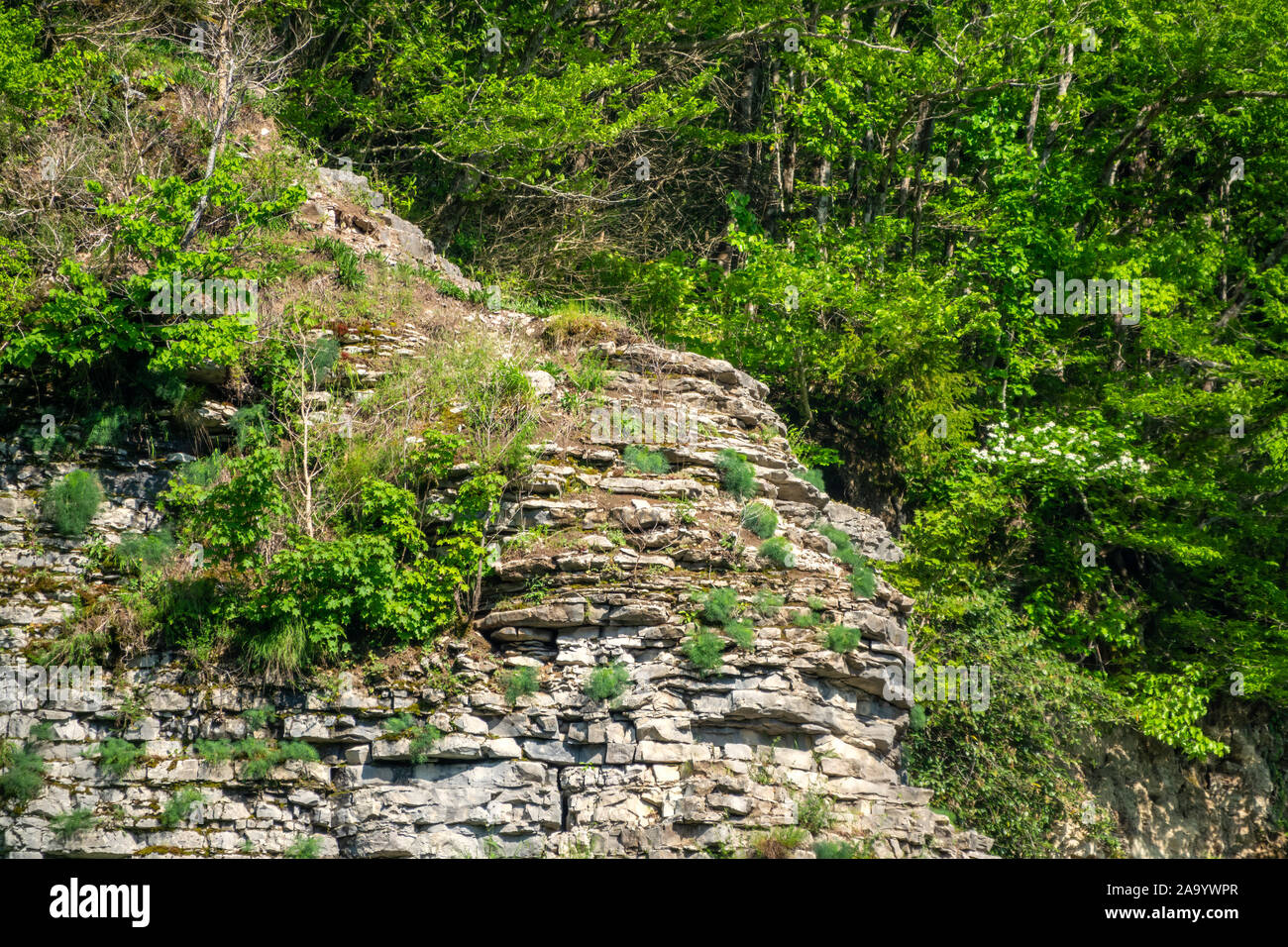 The rock of layered stone is illuminated by the sun. Green bushes and ...