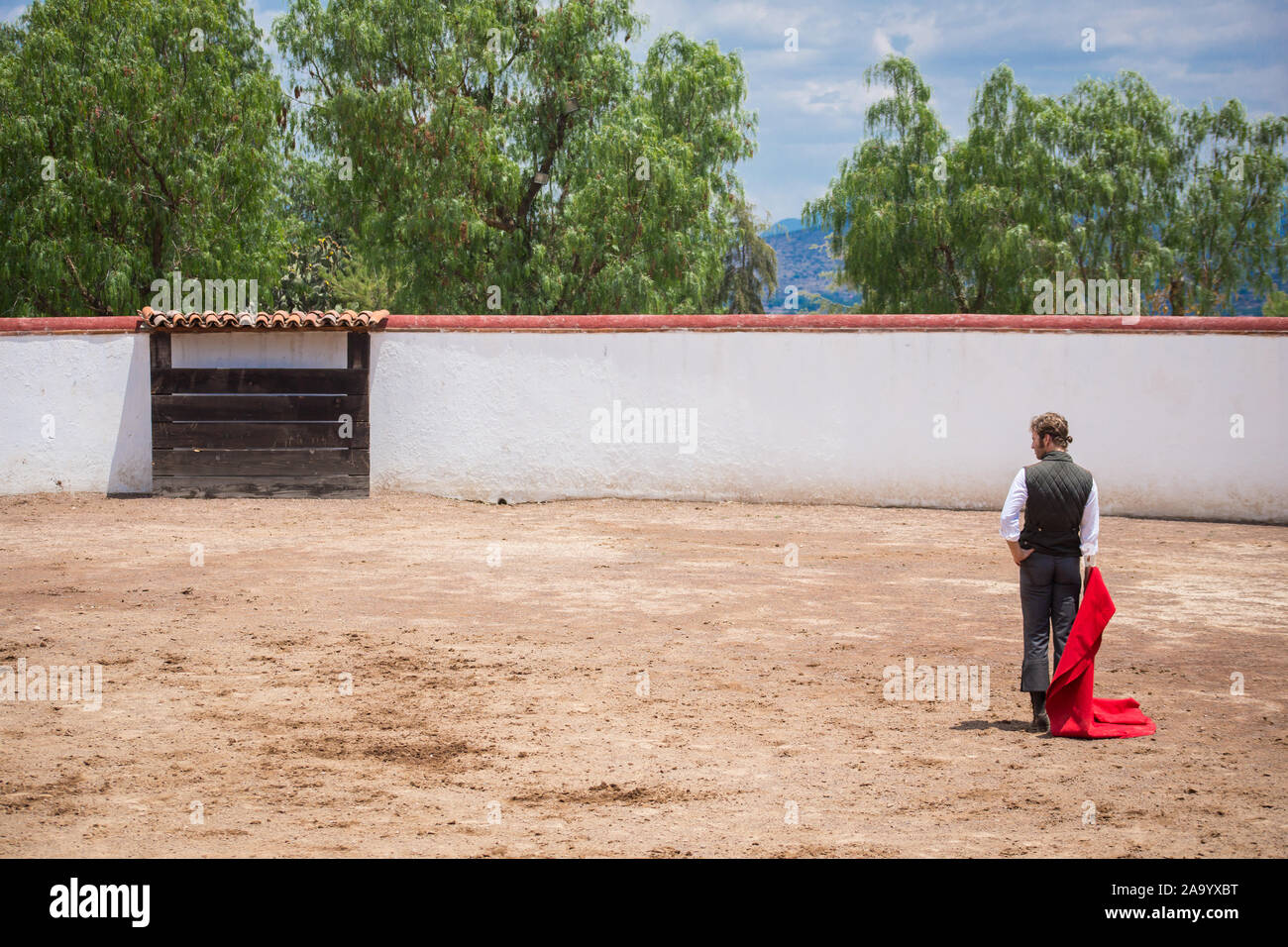 Spanish mexican bullfighter testing calf in a cattle raising ranch ...