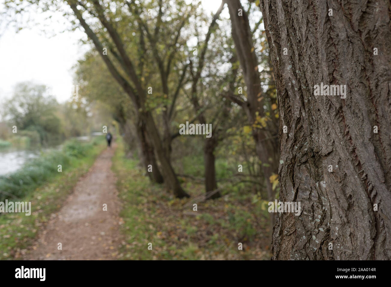 Calm countryside hi-res stock photography and images - Alamy