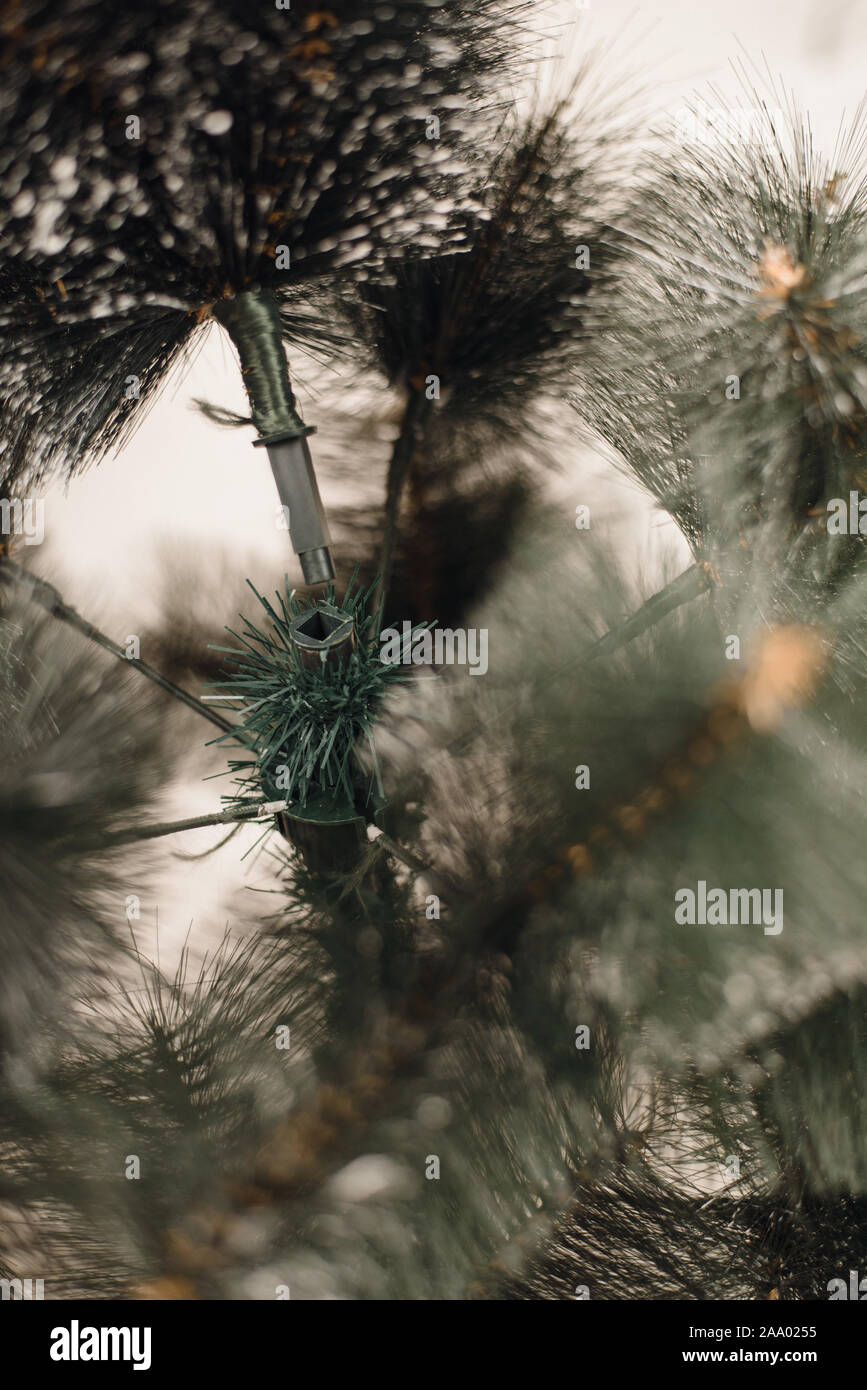 Man collects artificial Christmas tree at home. The stage of Assembly ...