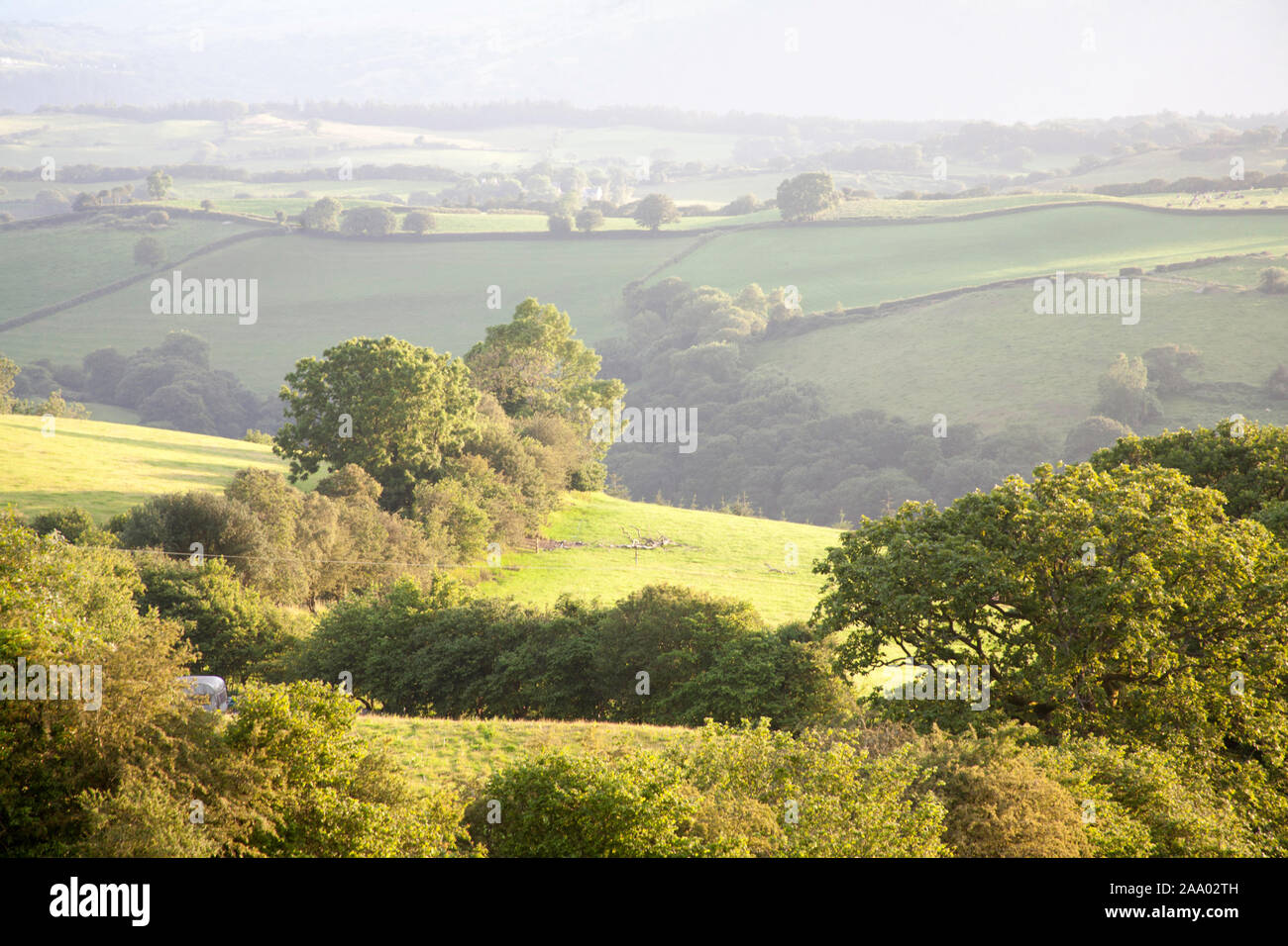 Tree hedges and field boundaries in the Conwy Valley near the village ...