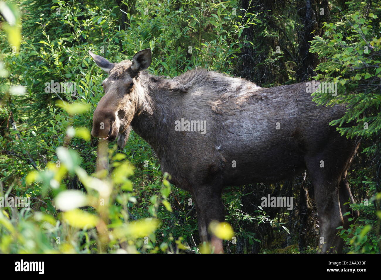 Game1 hi-res stock photography and images - Alamy
