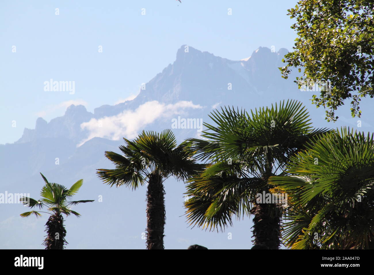 Genfer hi-res stock photography and images - Alamy