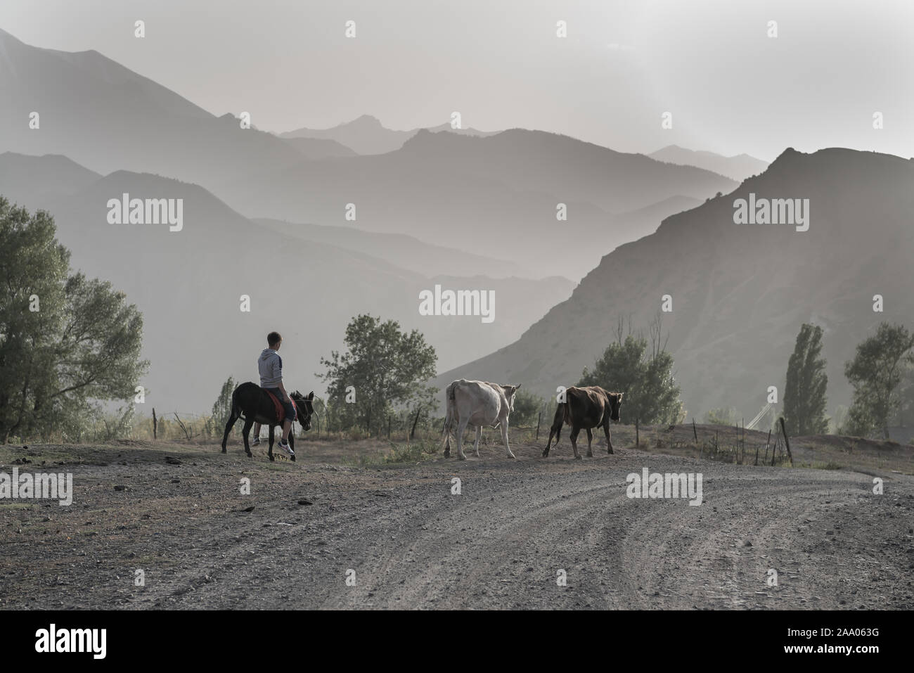 Former uranium mining town hi-res stock photography and images - Alamy