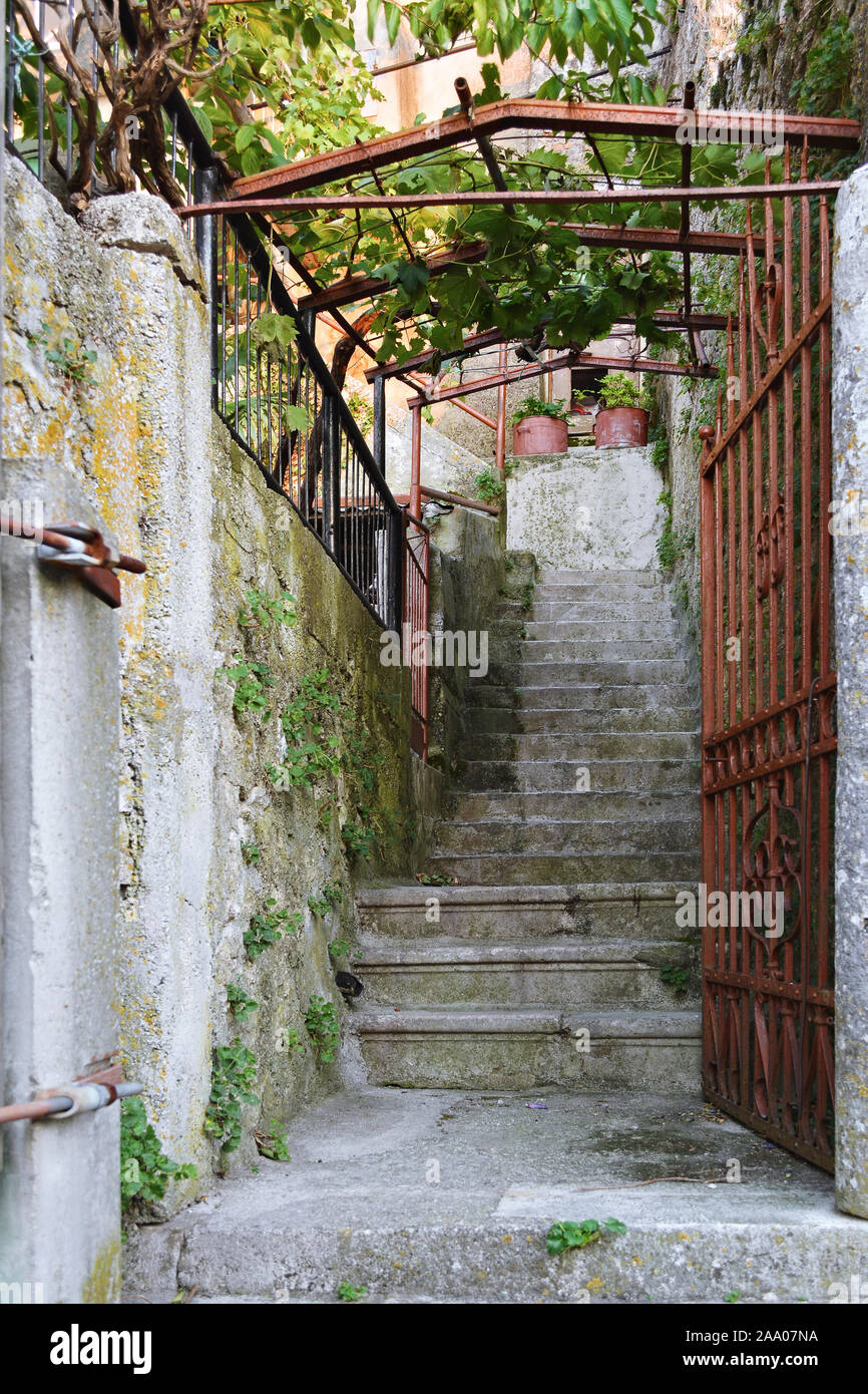 Stone steps leading upward along stone walls twined with ivy, behind an ...