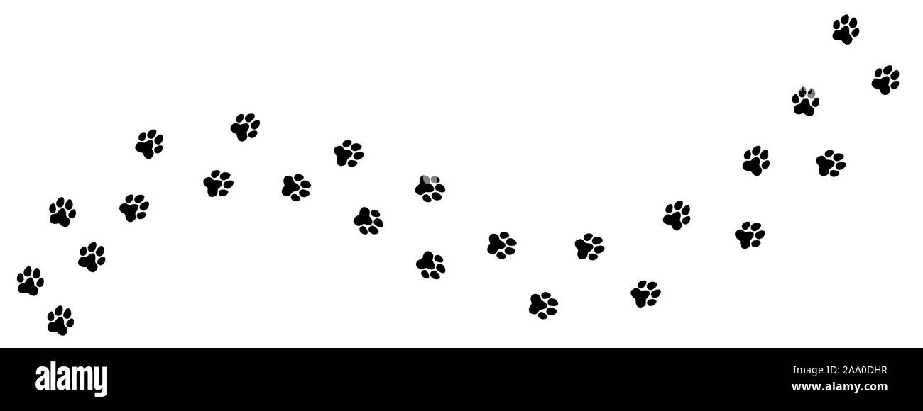 Cat or dog paw. Pet foot trail print. Step shape. Vector sole ...