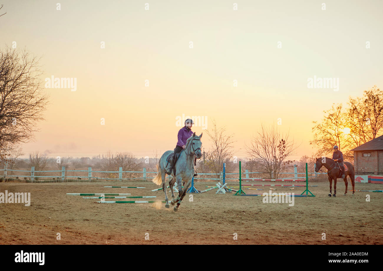 girl rides a horse in the arena Stock Photo - Alamy