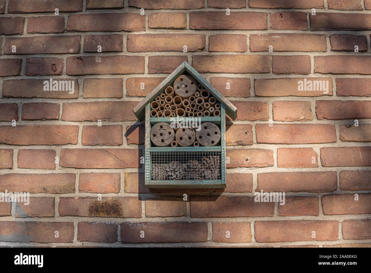 new style wooden insects house for breeding Stock Photo - Alamy