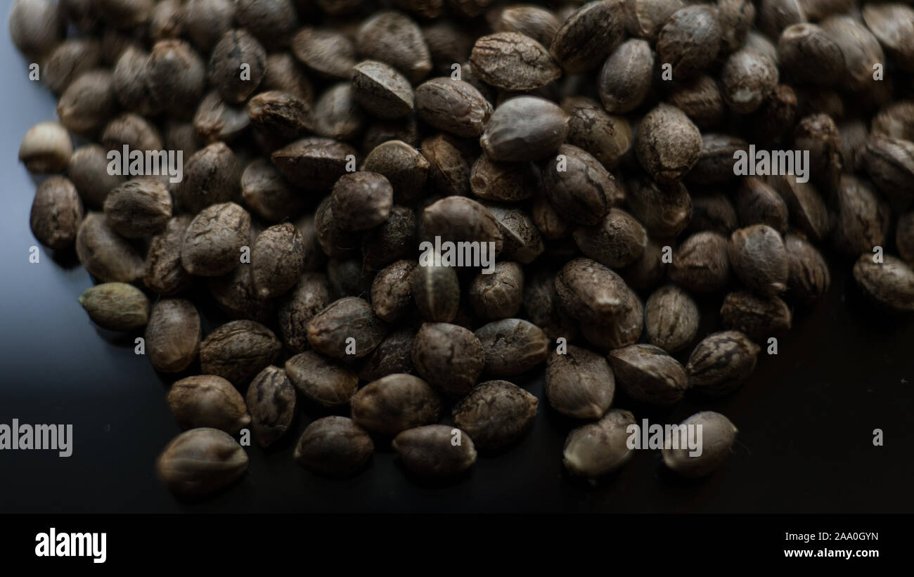 Marijuana seeds hi-res stock photography and images - Alamy