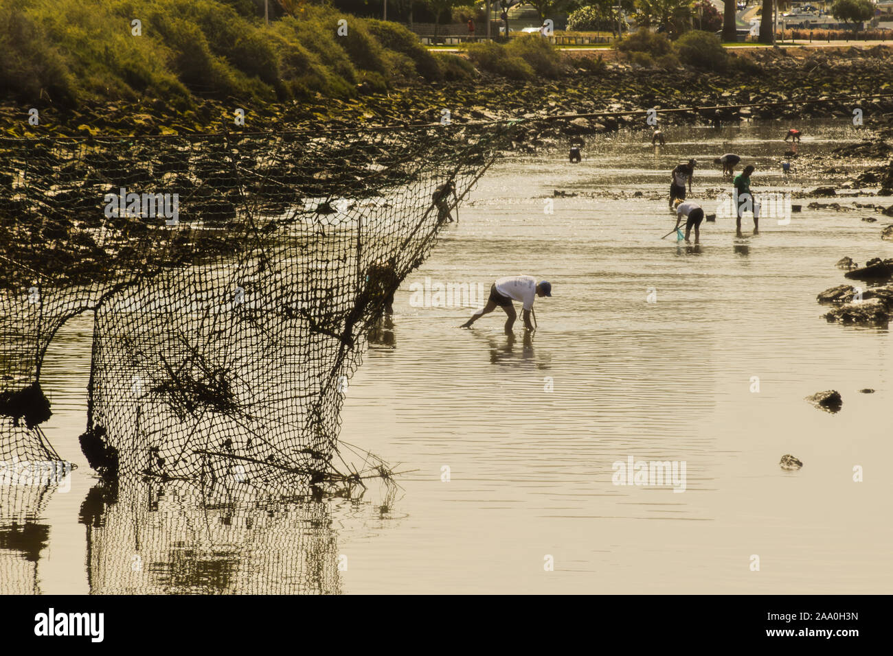 Fishin gear hi-res stock photography and images - Alamy