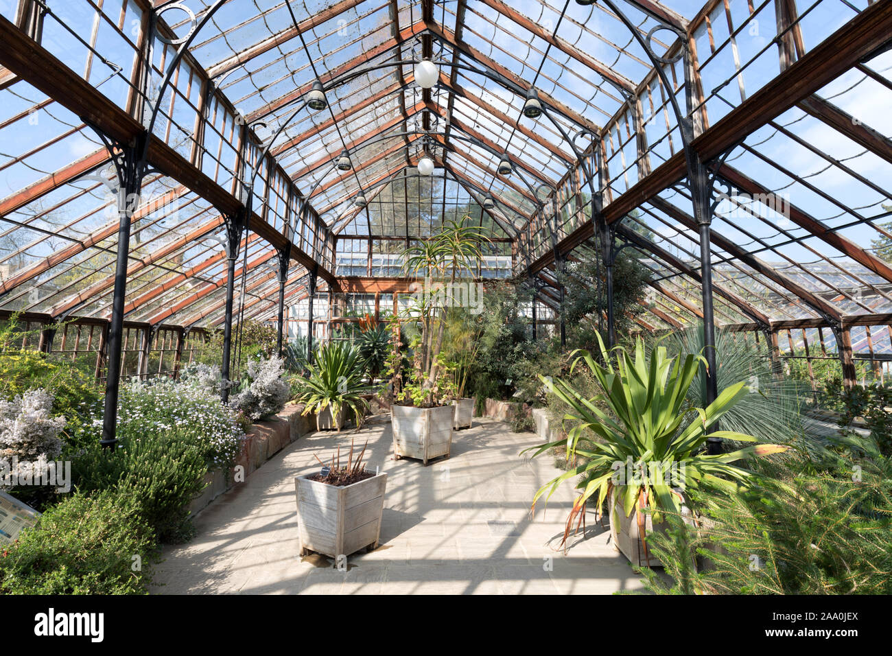 Cambridge University Botanical Gardens Stock Photo - Alamy