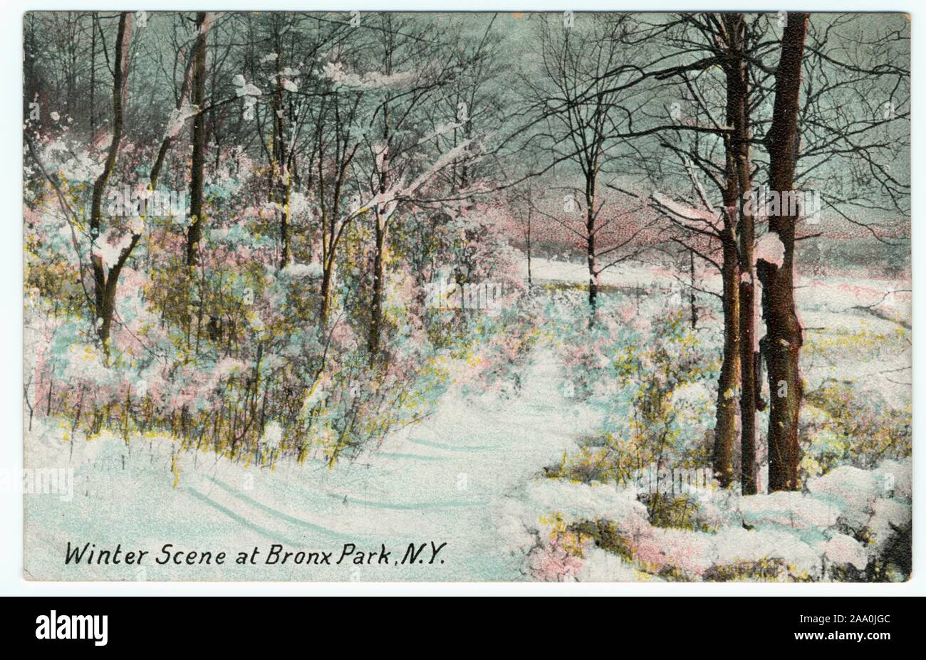 Illustrated postcard of a winter scene at Bronx Park, New York City ...