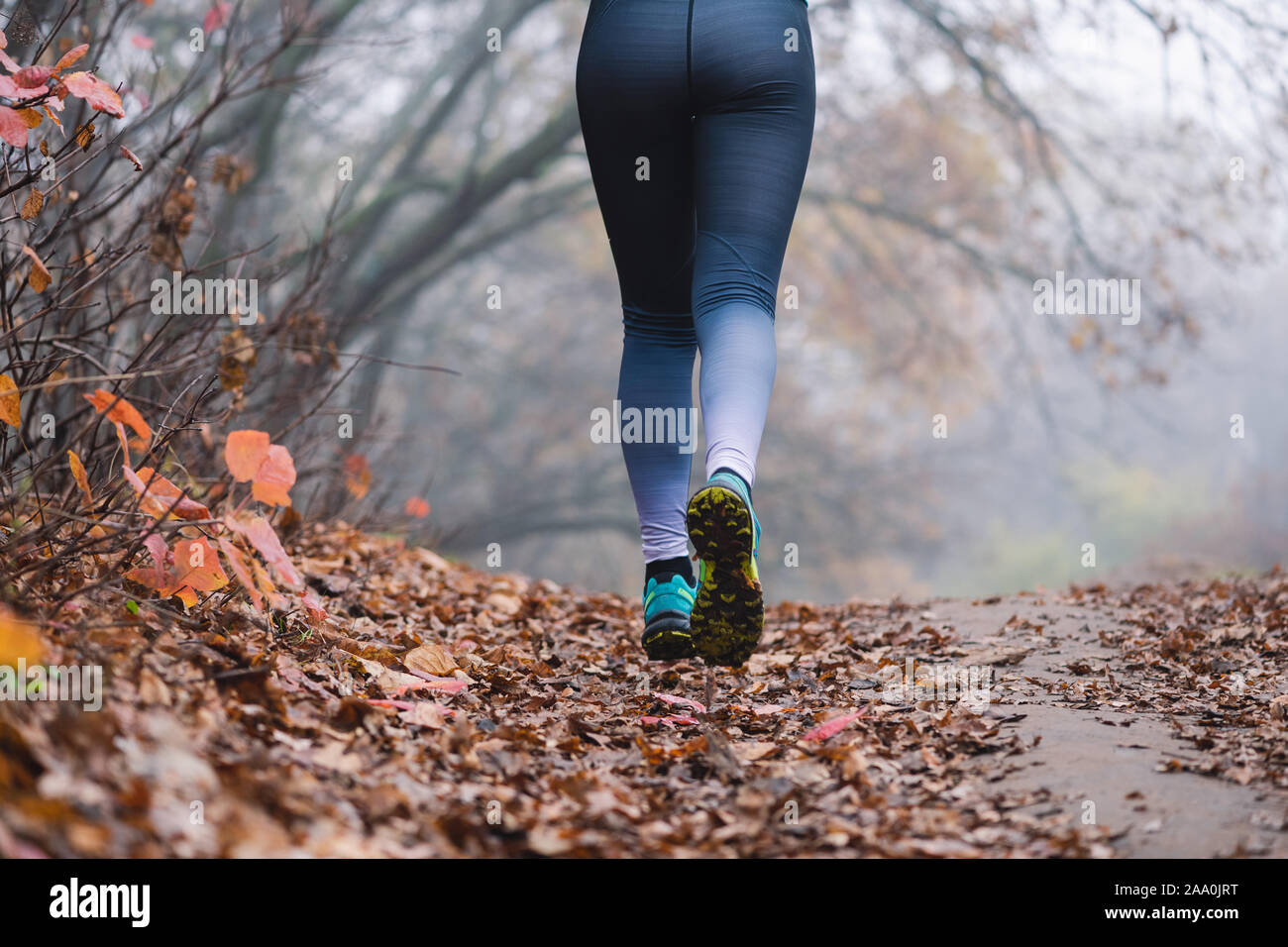 Woman jogger in leggings jogging in forest, back view Stock Photo - Alamy