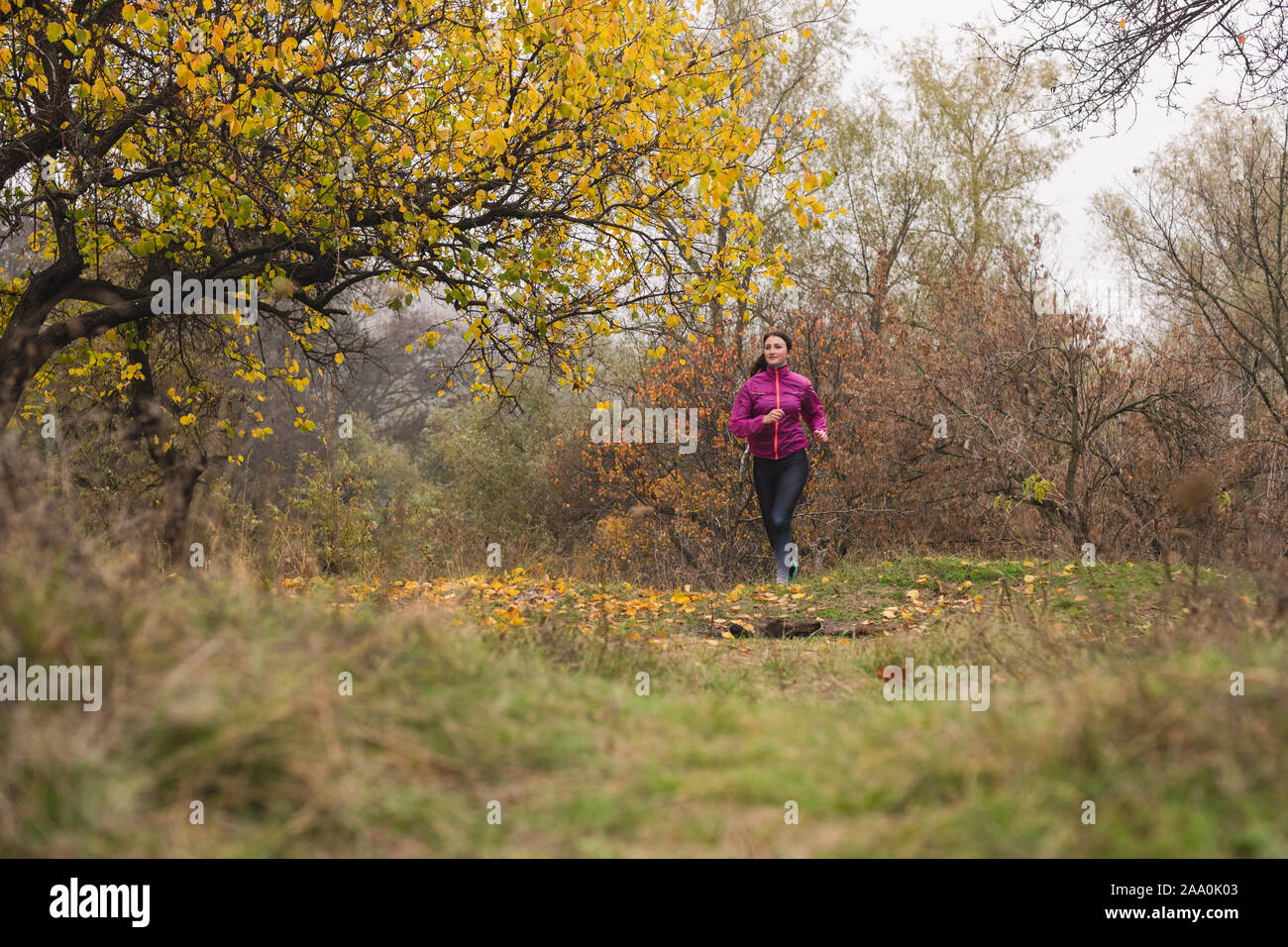 Pretty woman jogging in autumn morning forest. Female walking running ...