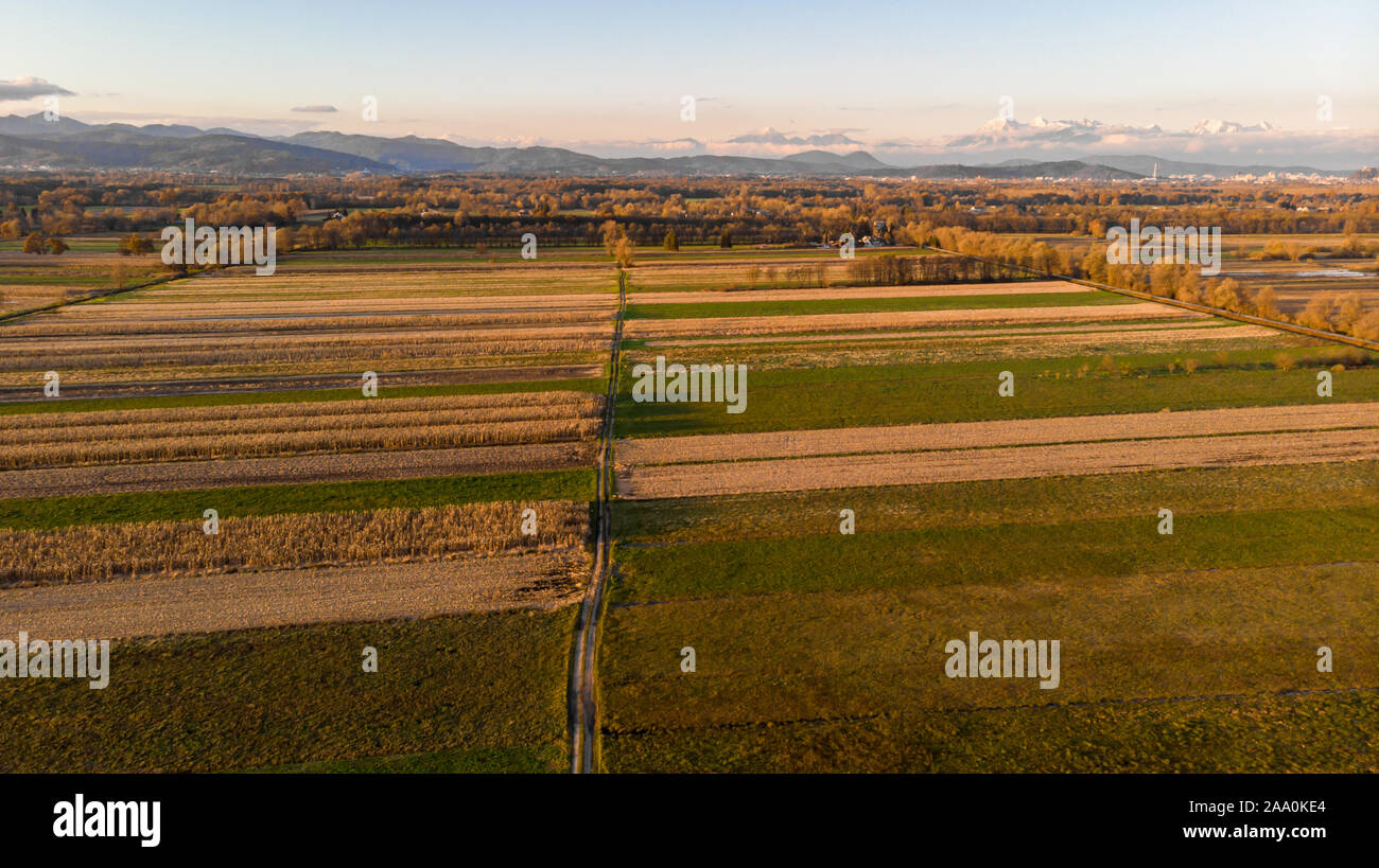 Aerial view of autumn fields at sunset Stock Photo - Alamy