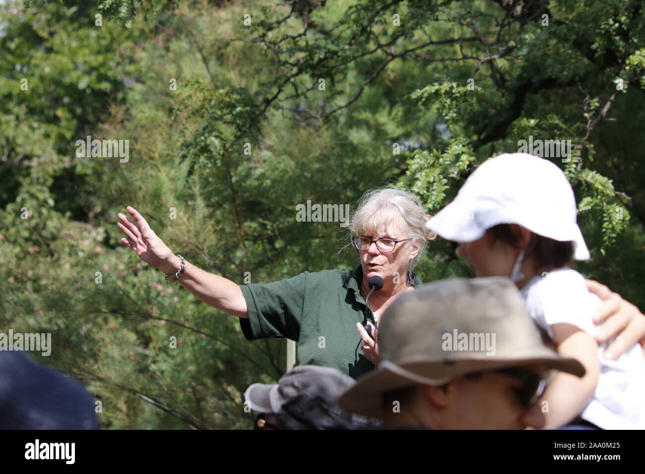 Zoo Keeper Feeding High Resolution Stock Photography and Images - Alamy