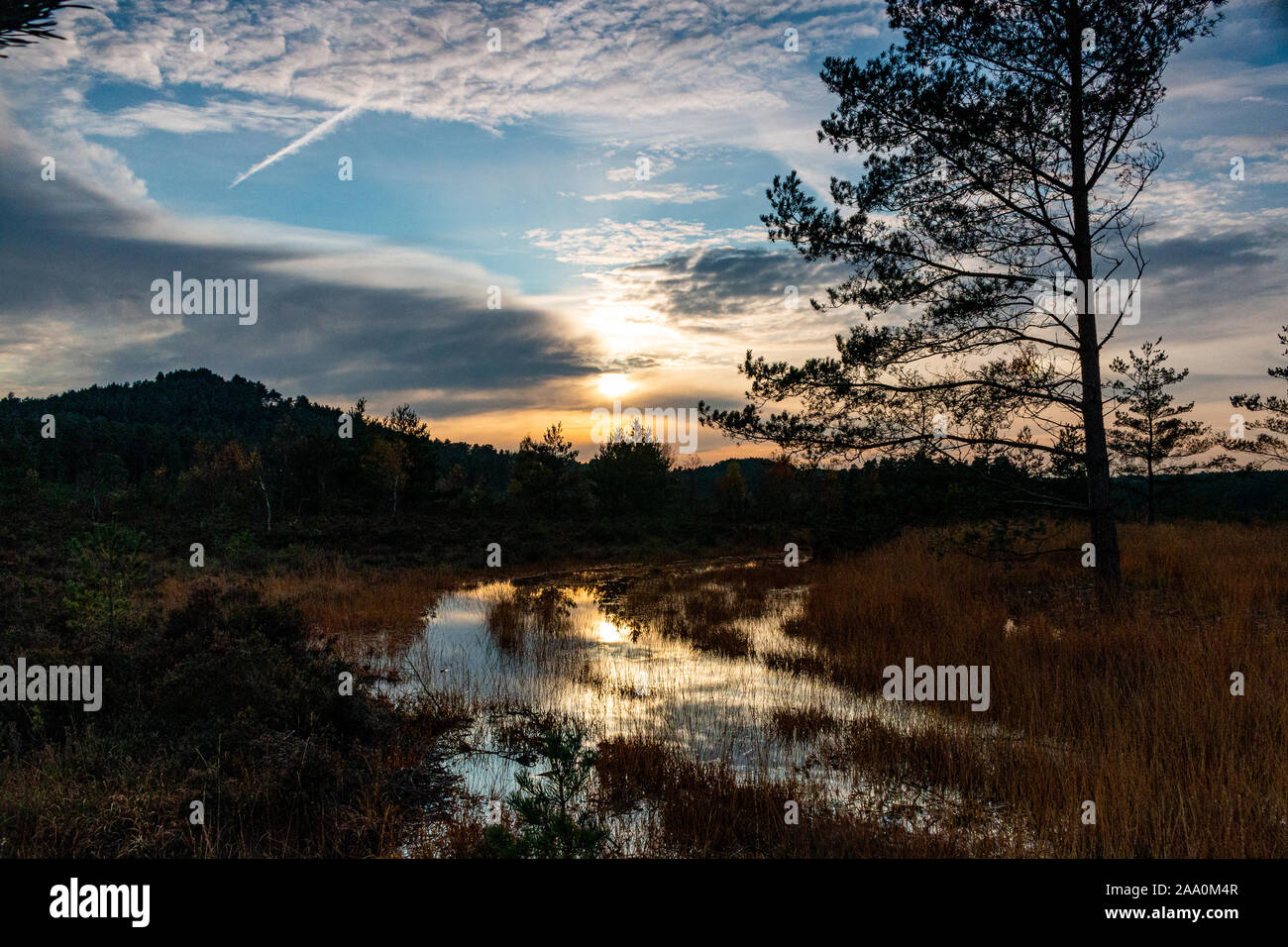 Sun reflection in pond Stock Photo - Alamy