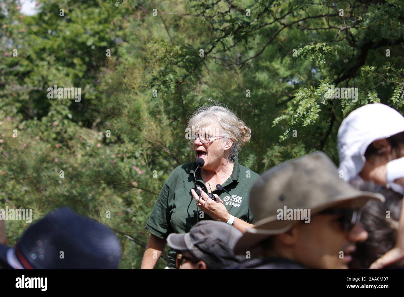 Toronto Canada, August 24 2019: The cheetah zoo keeper speaks to a ...