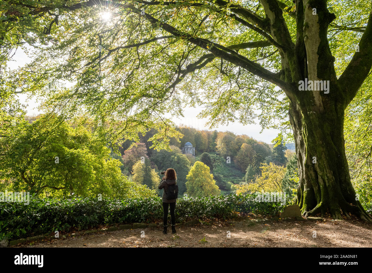 The temple of apollo and stourhead hi-res stock photography and images ...