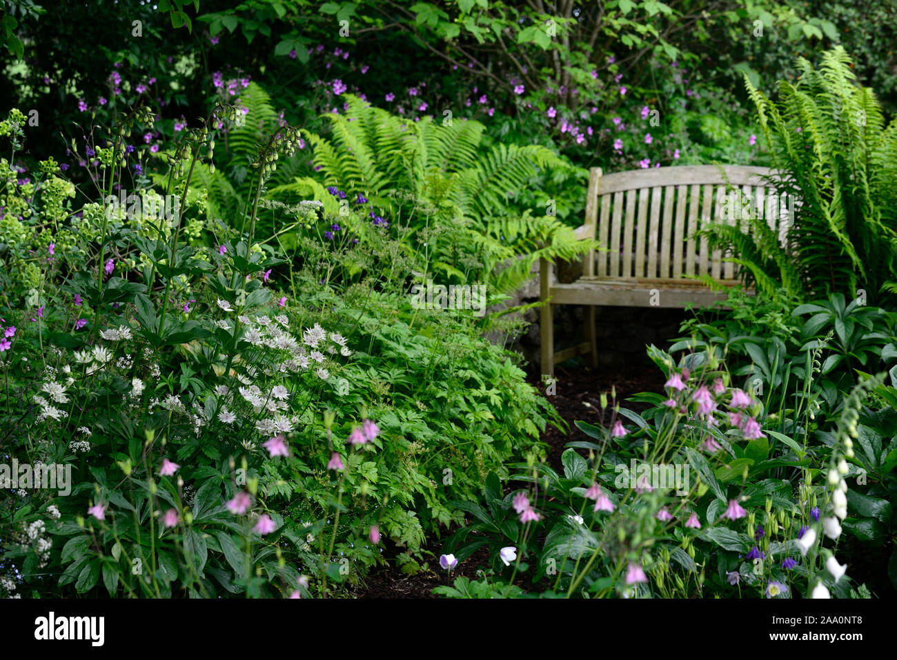 garden seat,seating,protected,hidden,secluded,mystery,spot,space,garden ...