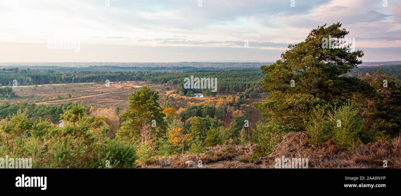 View Over Surrey Hills High Resolution Stock Photography and Images - Alamy