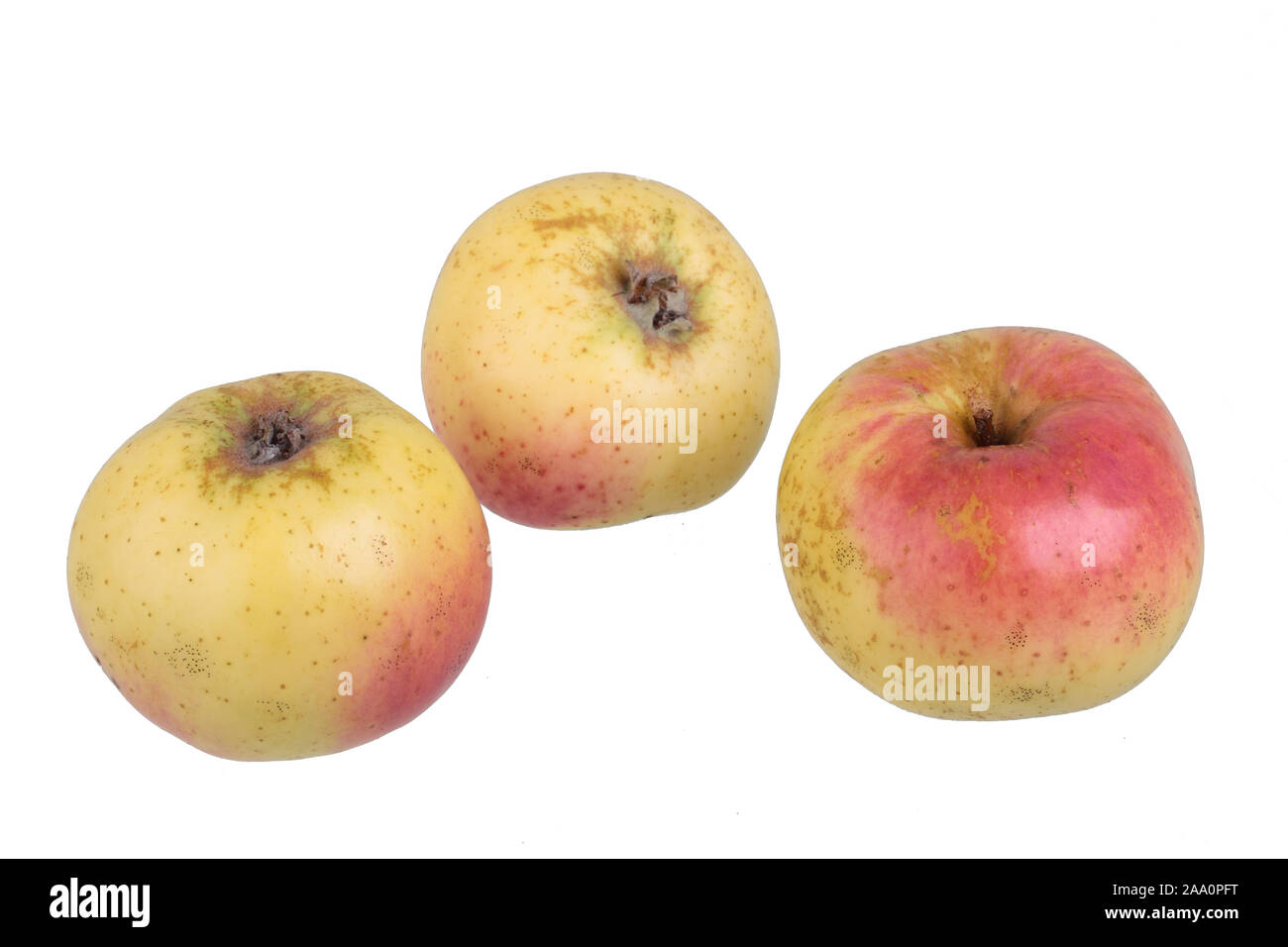 Apfelsorte hi-res stock photography and images - Alamy