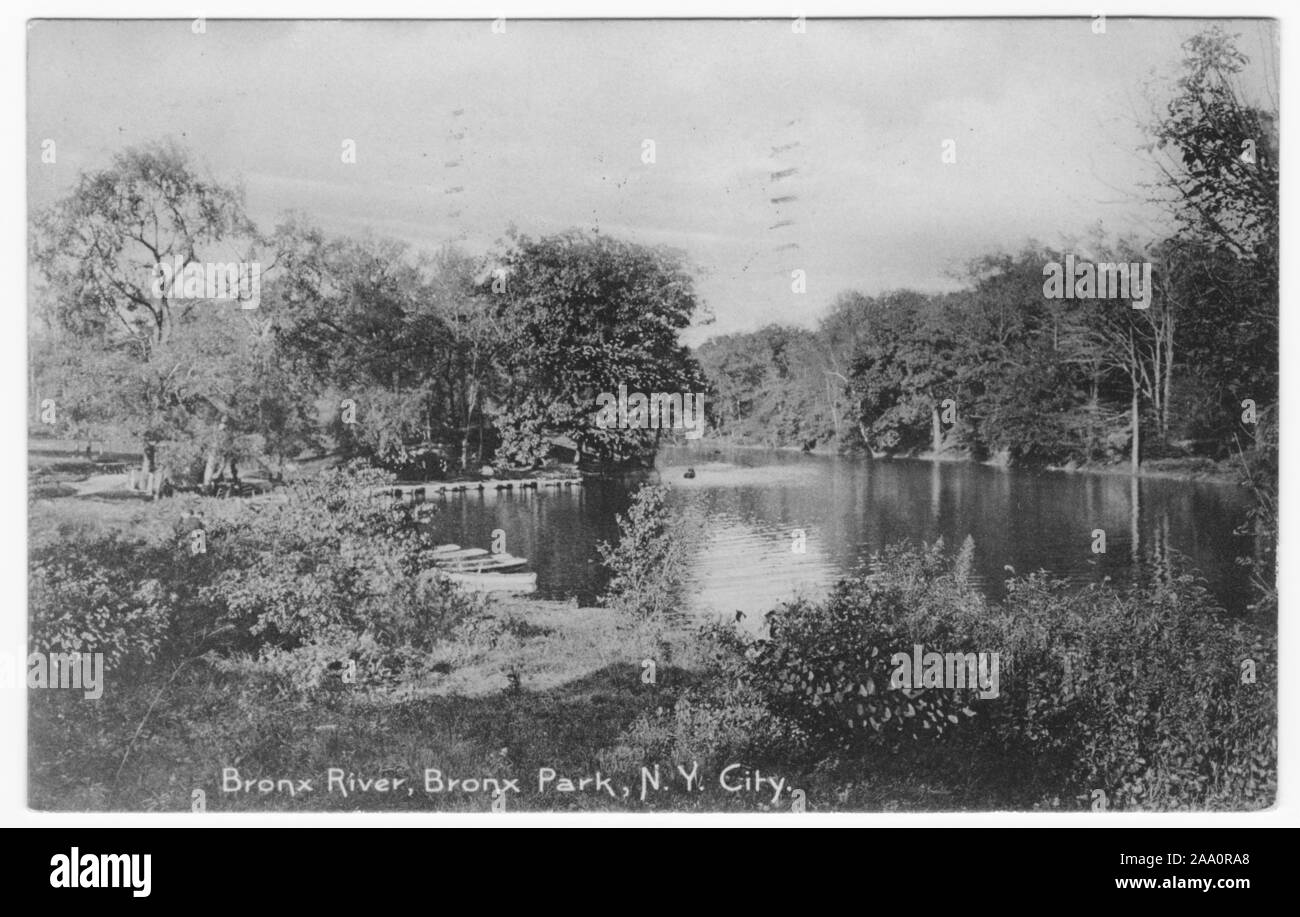 Engraved postcard of a scenic view of the Bronx Park River in Bronx ...