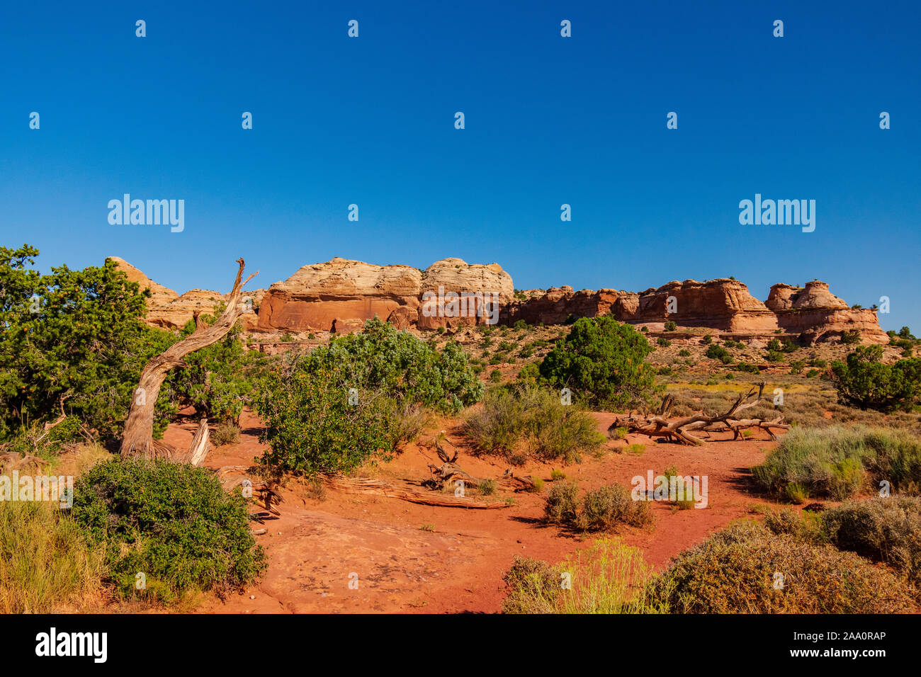 Canyonlands National Park, Moab, Utah Stock Photo - Alamy