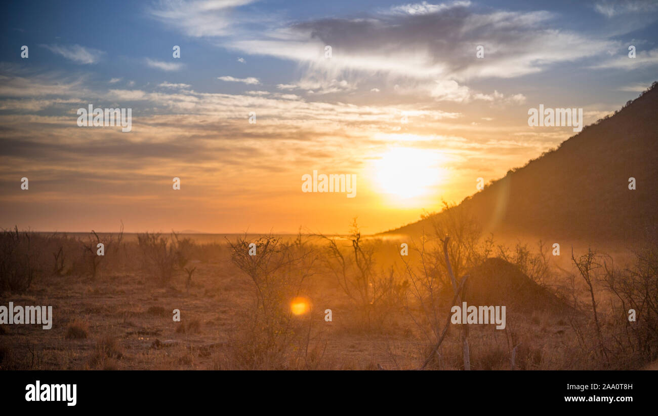 evening sunset on safari Stock Photo - Alamy