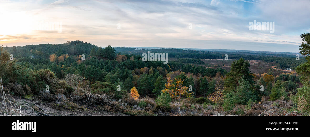 View to Frensham from Devils Jumps Stock Photo - Alamy