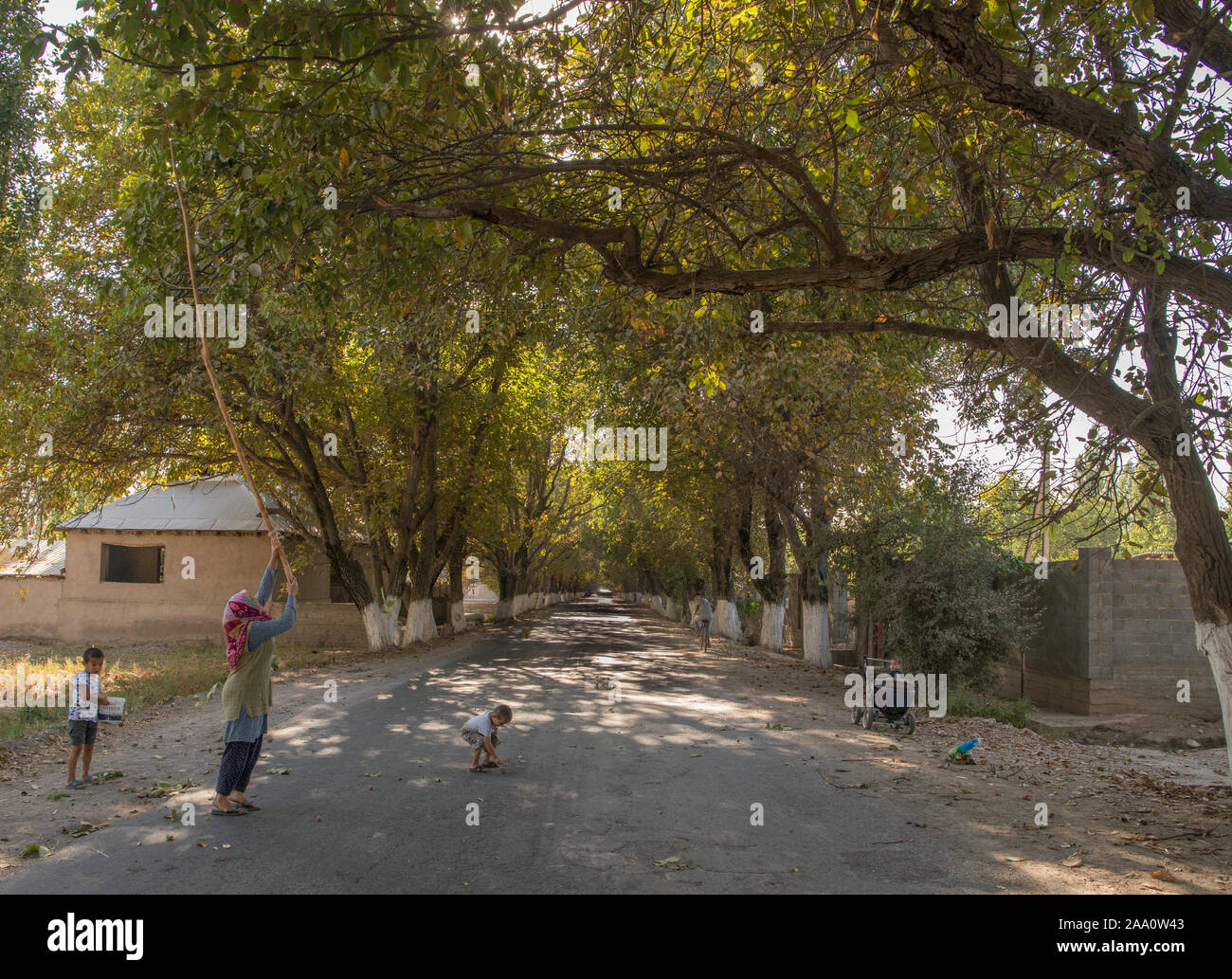 Tree beating hi-res stock photography and images - Alamy