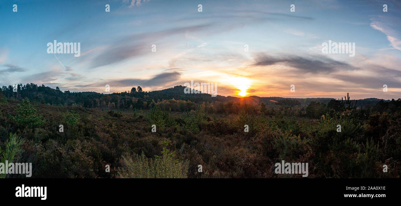 Devils Jumps Churt Sunset Stock Photo - Alamy