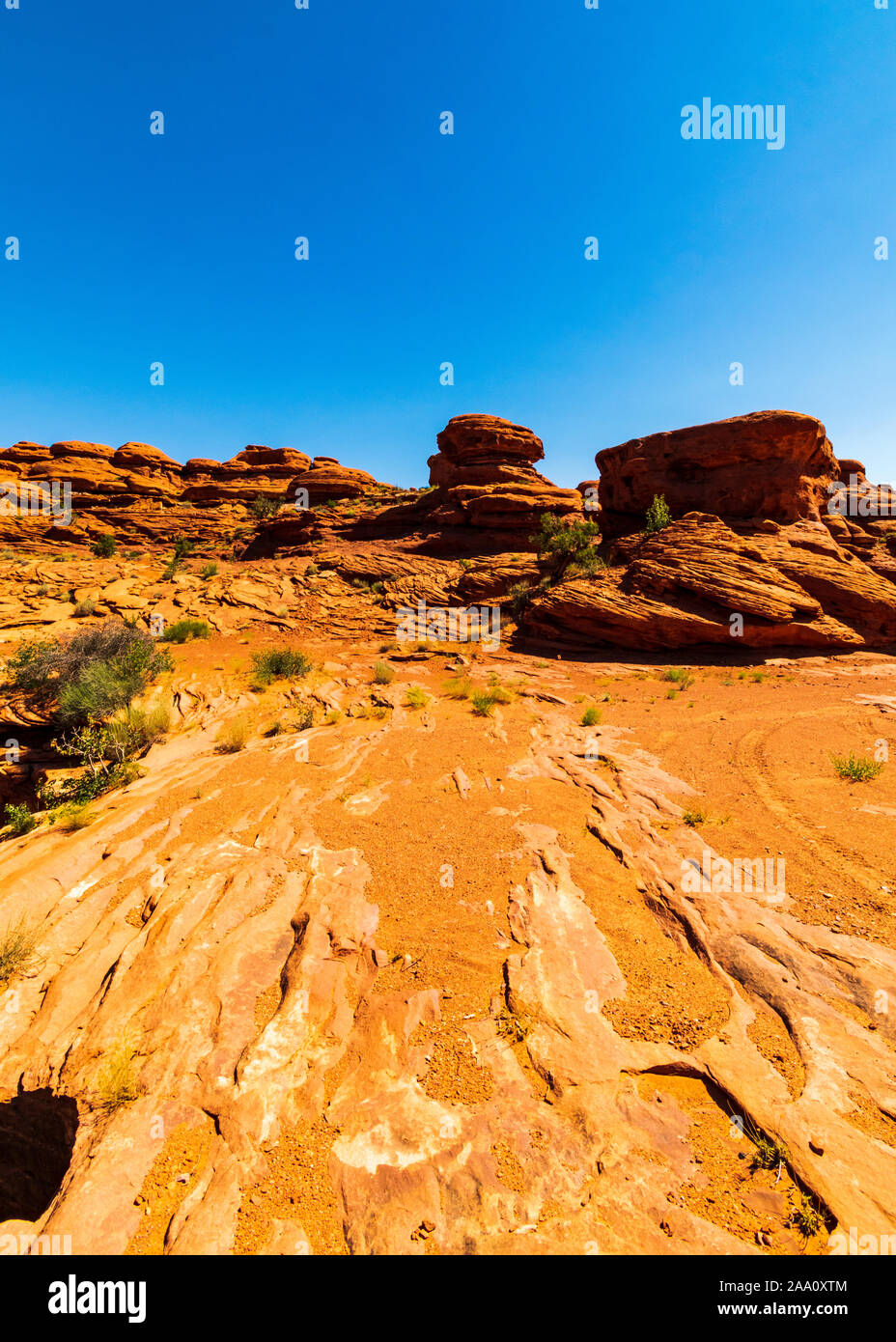 Canyonlands National Park, Needles District, Utah Stock Photo - Alamy