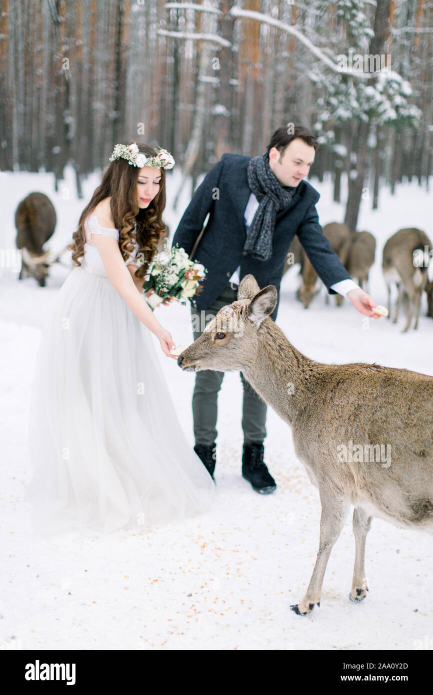 Winter wedding of stylish couple bride and groom, walking in winter ...