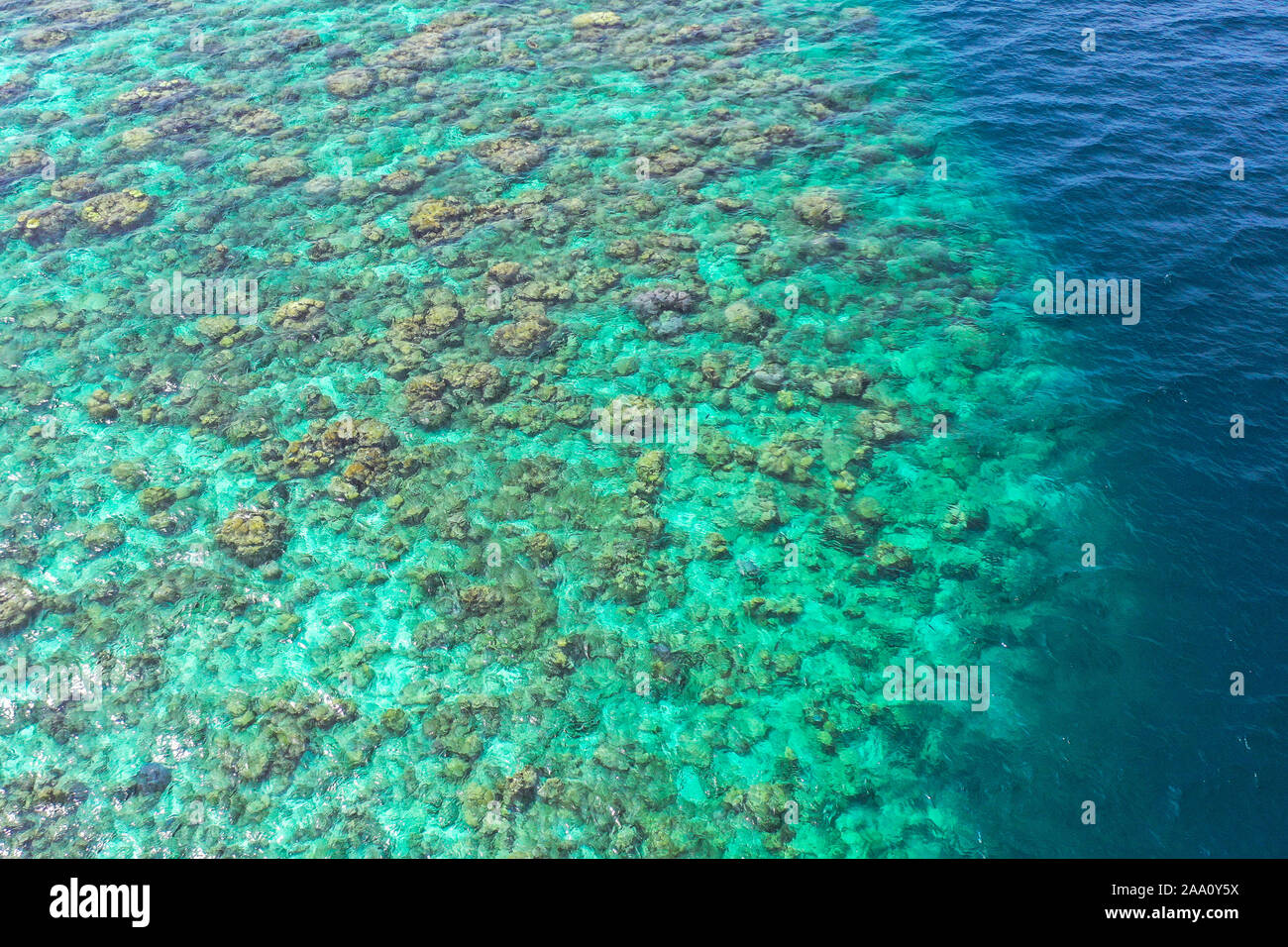 Aerial view of colorful vibrant corals on the islands coral reef full ...