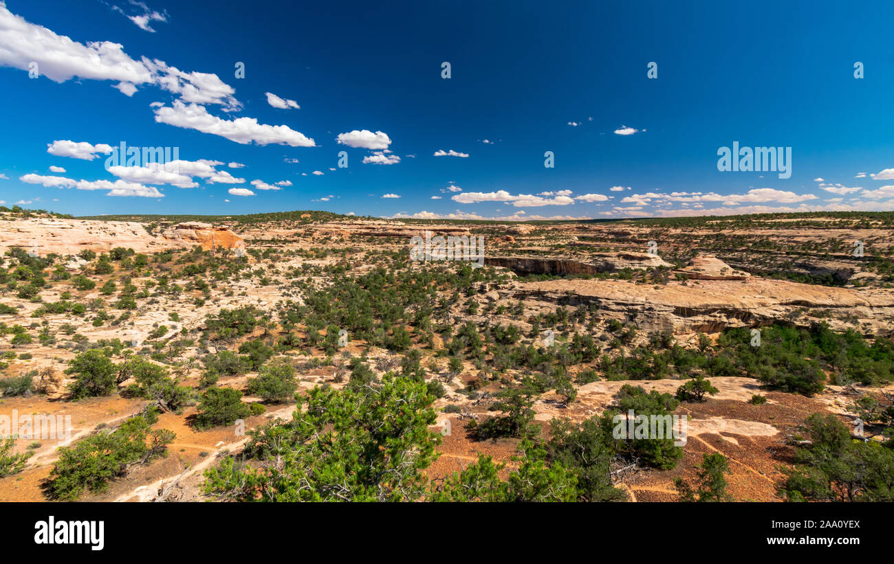 Natural Bridges National Monument, Utah Stock Photo - Alamy