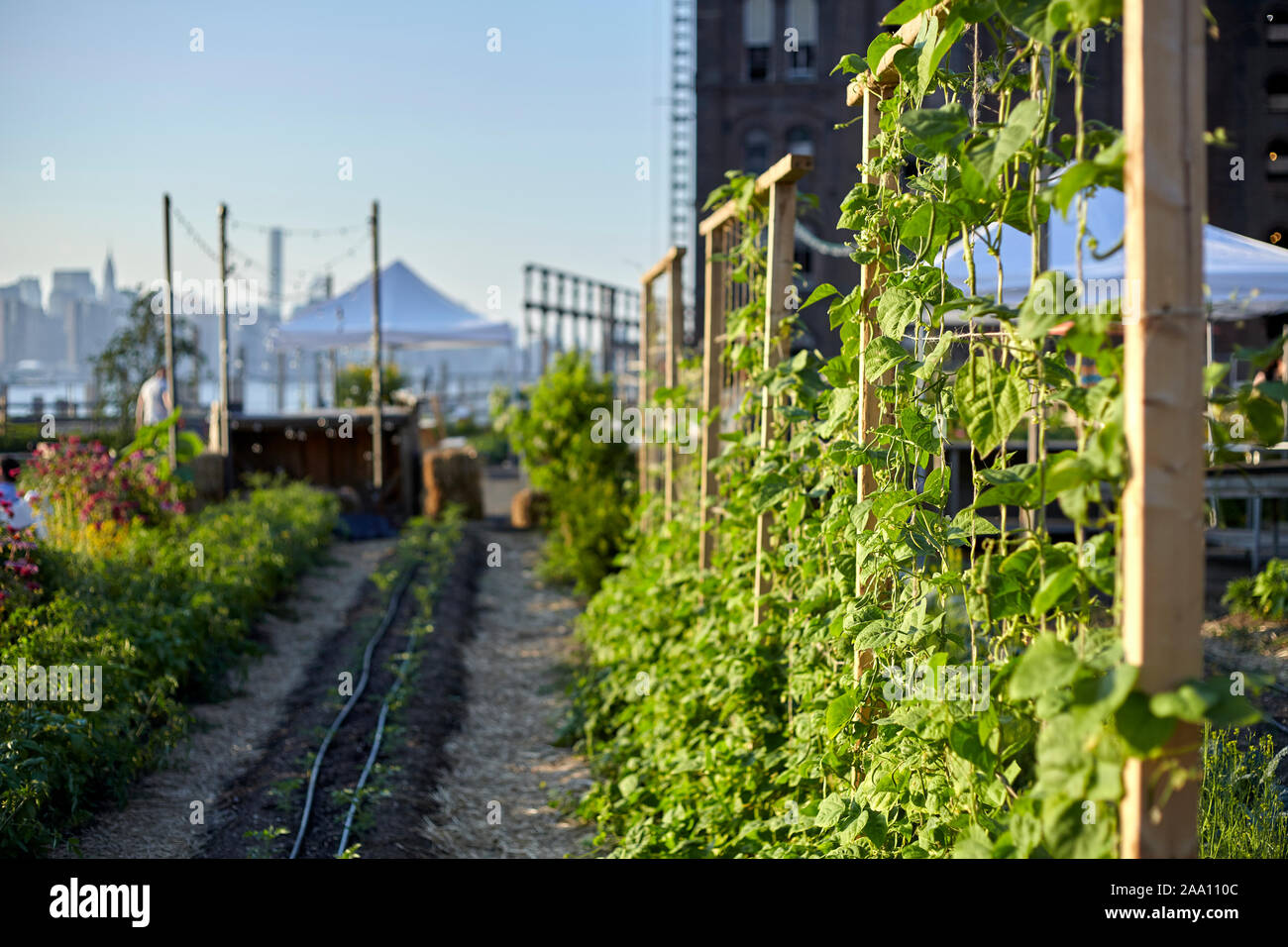 Greening of urban areas hi-res stock photography and images - Alamy