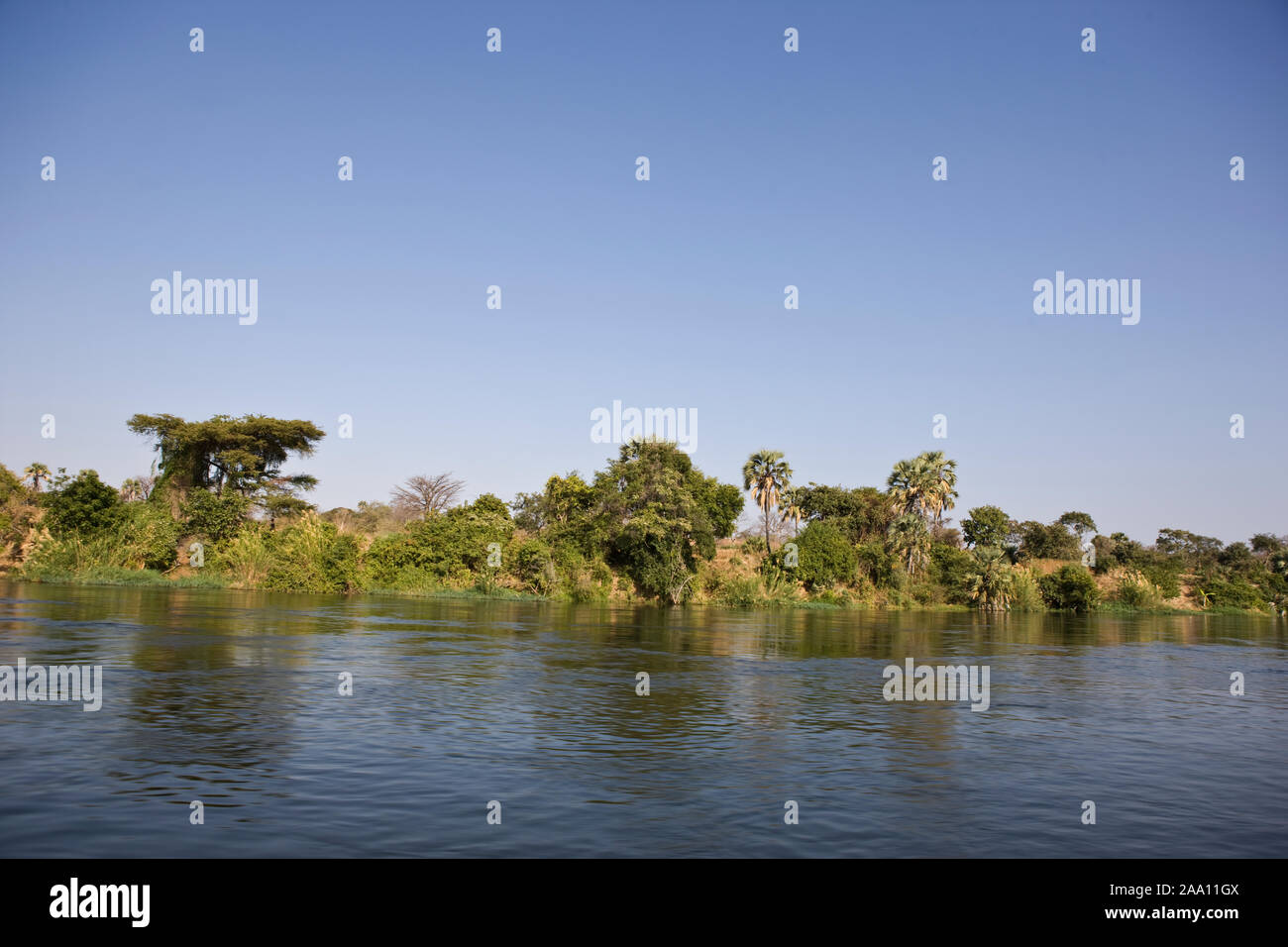 River and surrounding vegetation Stock Photo - Alamy