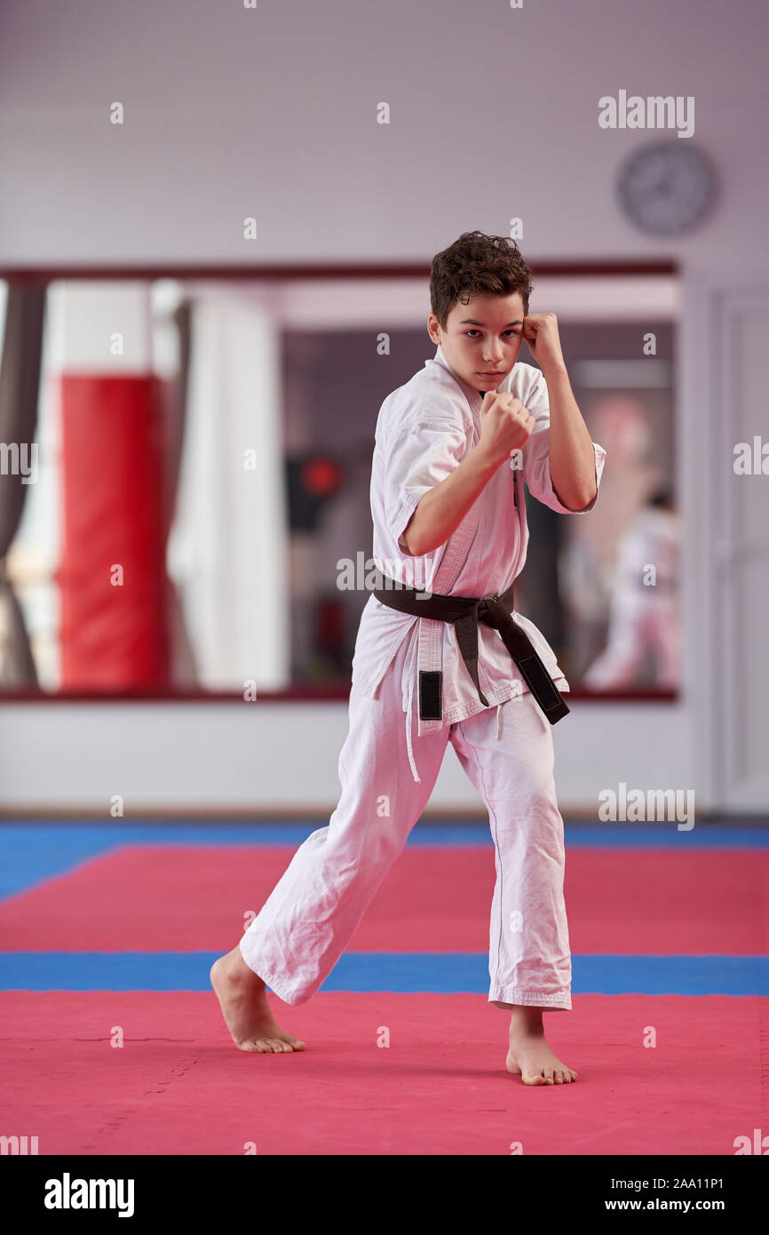 Young boy karate practitioner executing a kata Stock Photo - Alamy