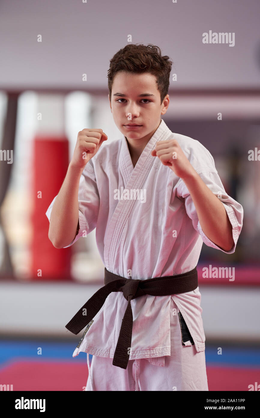 Young boy karate practitioner executing a kata Stock Photo - Alamy