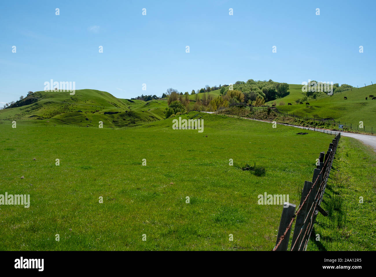 long winding narrow rural gravel road through farming pasture ...