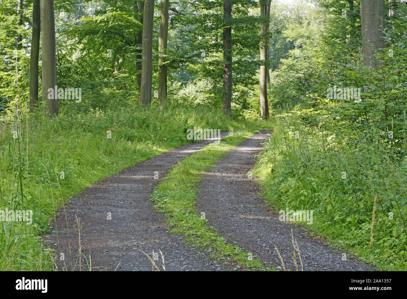 Wanderwege weg wege hi-res stock photography and images - Alamy