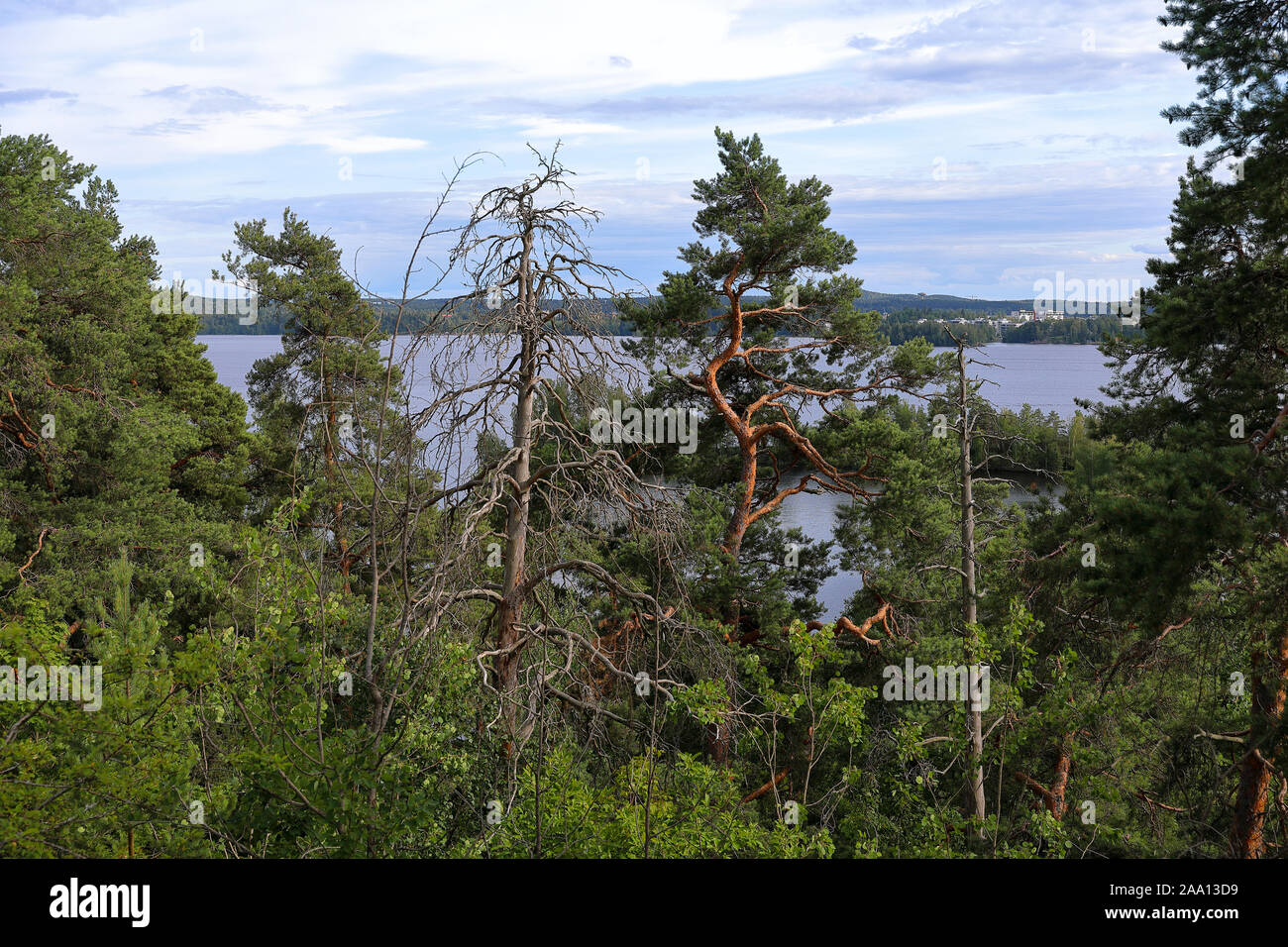 View from Pyynikki nature preserve over Pyhäjärvi Stock Photo - Alamy