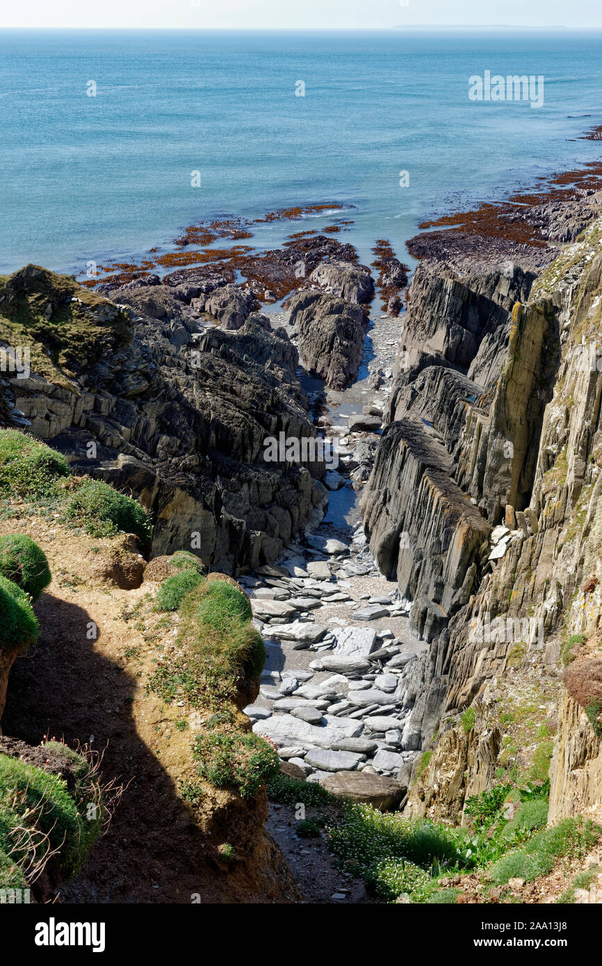 Cliffs with vertical rock strata at Windy Cove, Morte Point, North ...