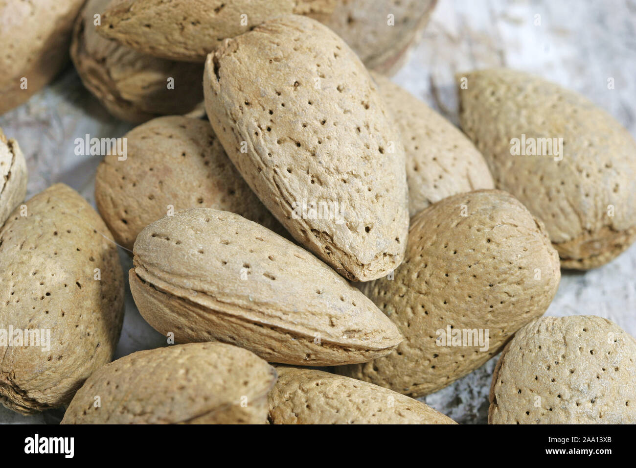 Mandeln in der Schale, Sorte Ferragnes / Almonds in the shell, sort ...