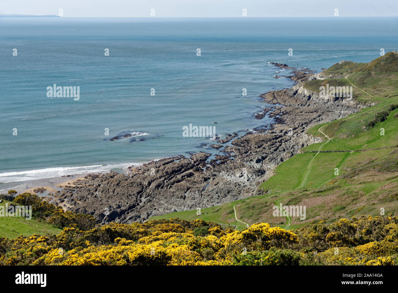 Grunta Beach & Morte Point at Low Tide, North Devon, UK Stock Photo - Alamy