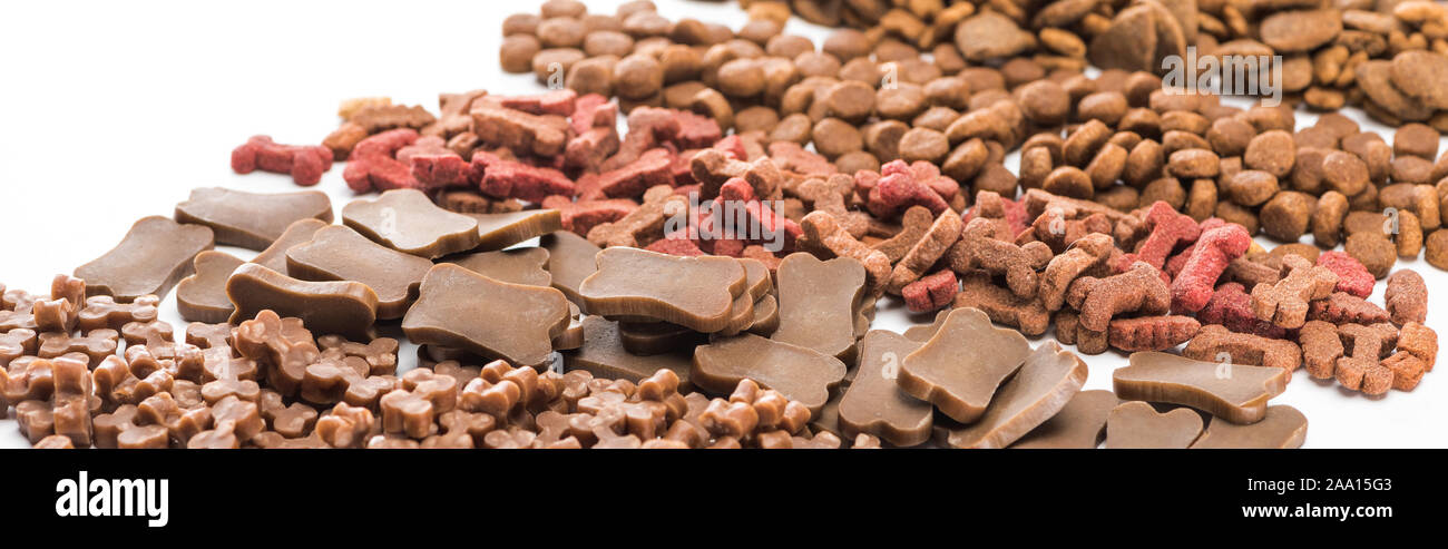 selective focus of fresh assorted dry pet food in lines isolated on ...