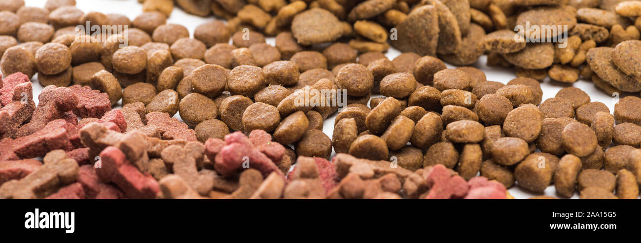 selective focus of fresh assorted dry pet food in lines isolated on ...