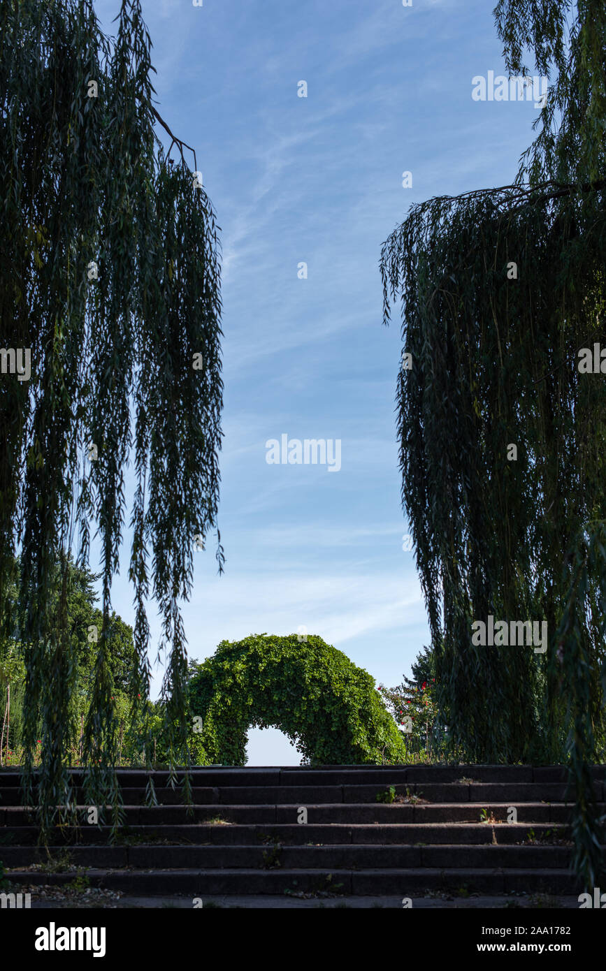 Willow Walkway High Resolution Stock Photography and Images - Alamy